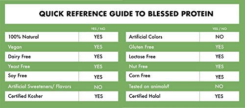 Blessed Plant Based Superfood Protein, 23g of Protein,Vegan Friendly, Vanilla Chai, 1LB Bottle