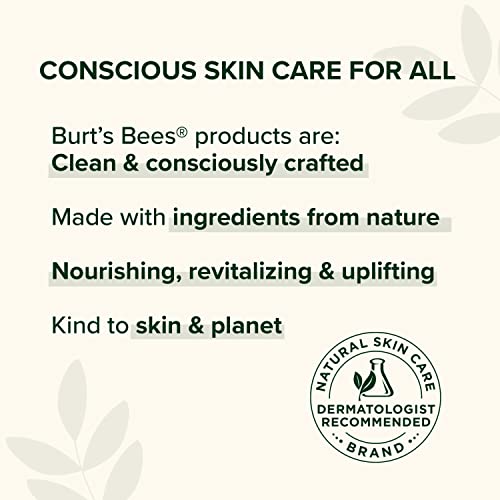 Burts Bees 100% Natural Tinted Lip Balm, Red Dahlia with Shea Butter & Botanical Waxes 1 Tube