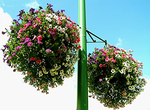 Soil Moist Mats For Hanging Baskets Planters and Containers 6pc Pack