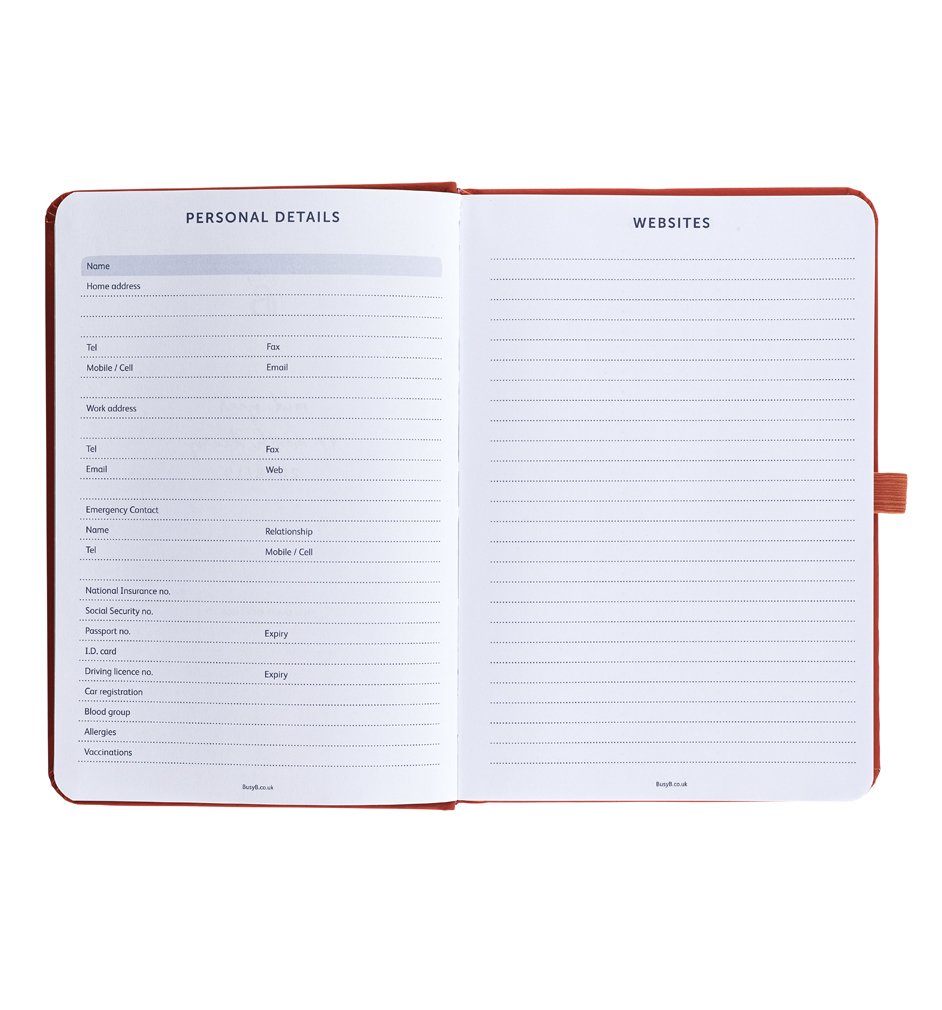 Busy B 17 Month 2018-19 Mid Year Diary - Week-to-View Agenda with timetables and Notes