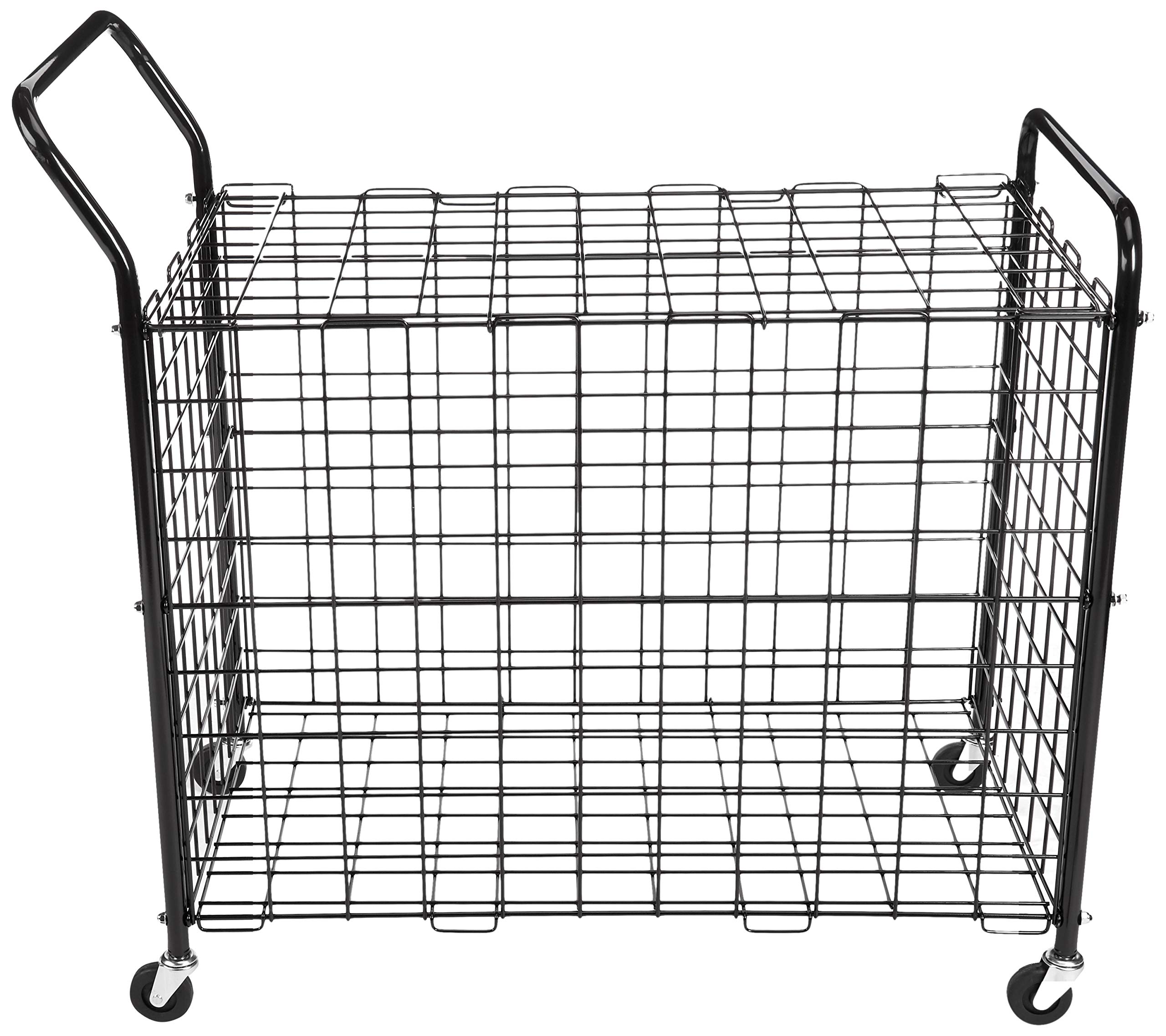 BSN Standard Portable Ball Locker, Black