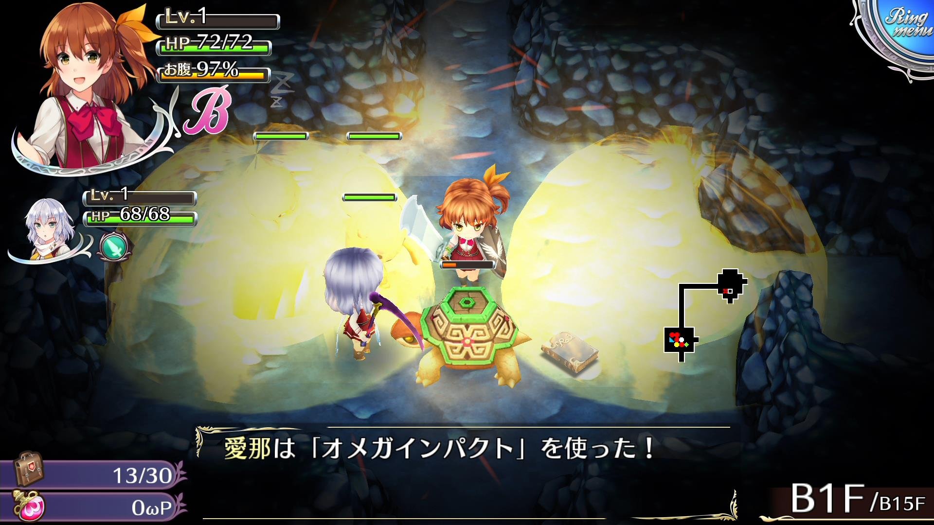 Omega Labyrinth Z (D3P The Best)