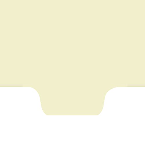 Individual Chart Divider Sheets Used to Build Chart Divider Sets for Medical Practices, 1/6th Cut, Tabs on Bottom, Position: #6, Blank (Pack of 100)