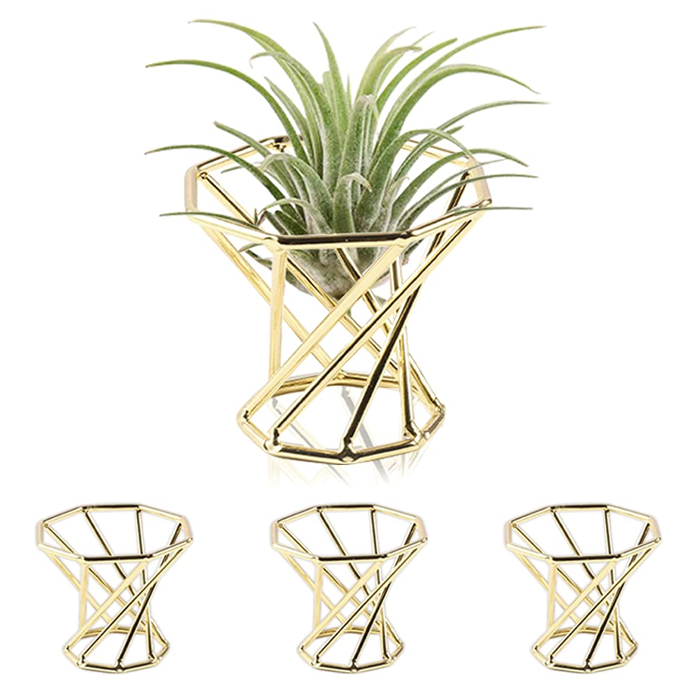 Bxxwin Air Plant Stand Container 4 Pcs Geometric Air Plant Container Airplant Display Racks for Office Desk(Gold)