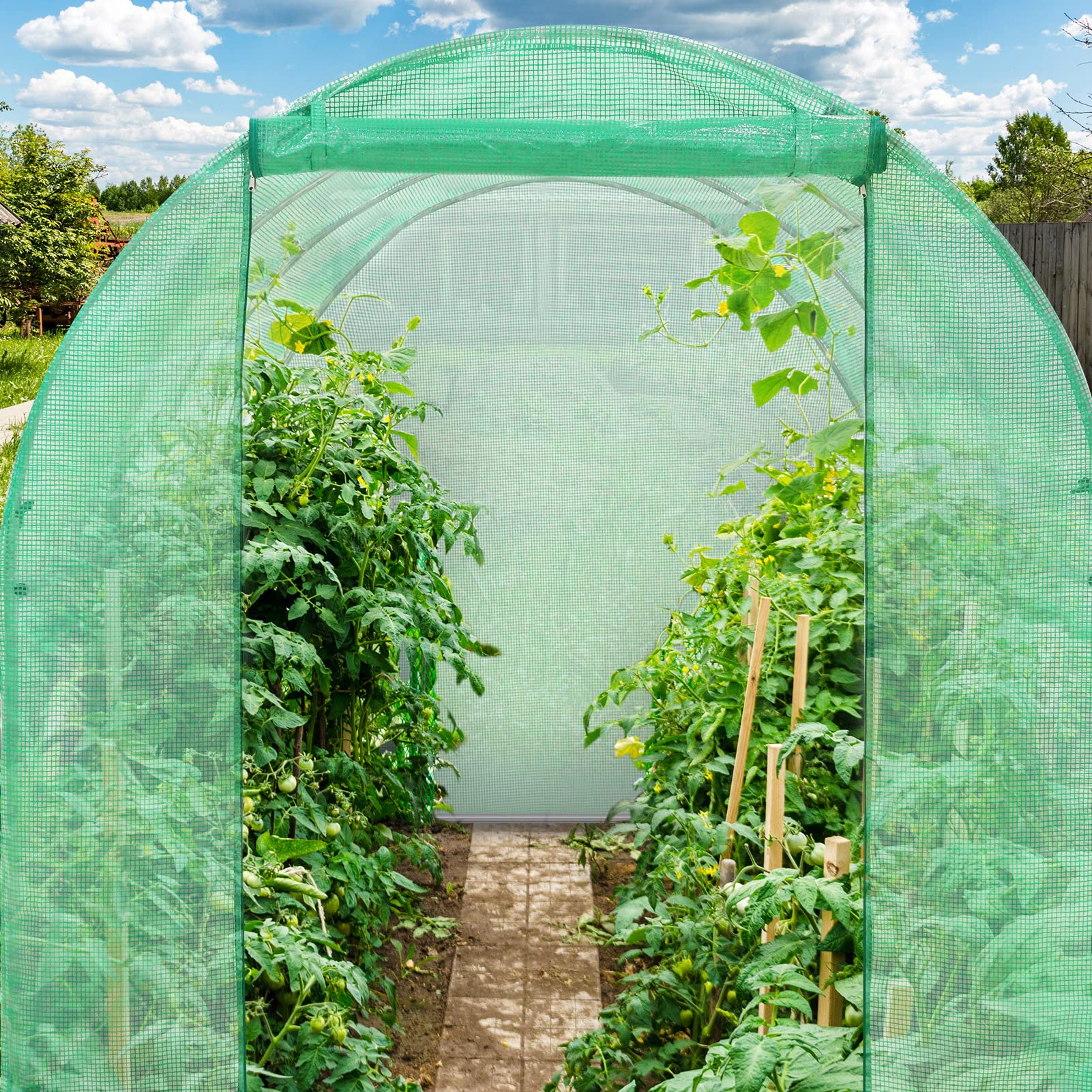 EAGLE PEAK Mini 4 Tier Greenhouse withWheels & Wire Shelves, Portable 28"x19"x67' 'Indoor & Outdoor Green House with Roll-Up Zipper Door,Clear/Green PE Cover