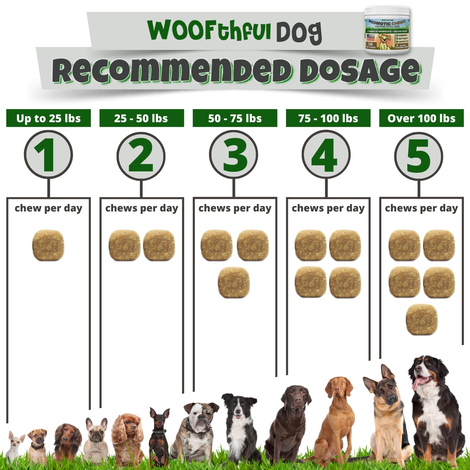 Probiotics for Dogs - Digestive Health, Gut Flora, Bowel Support, Immune System Support - Soft Chews Supplement for Dogs 120 ct, Made in USA