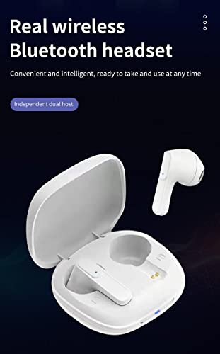 True Wireless Stereo Earbuds Bluetooth 5.0 in Ear Light-Weight Headphones Built-in Microphone, Super bass Long Distance Connection Headset with Charging Case (White)