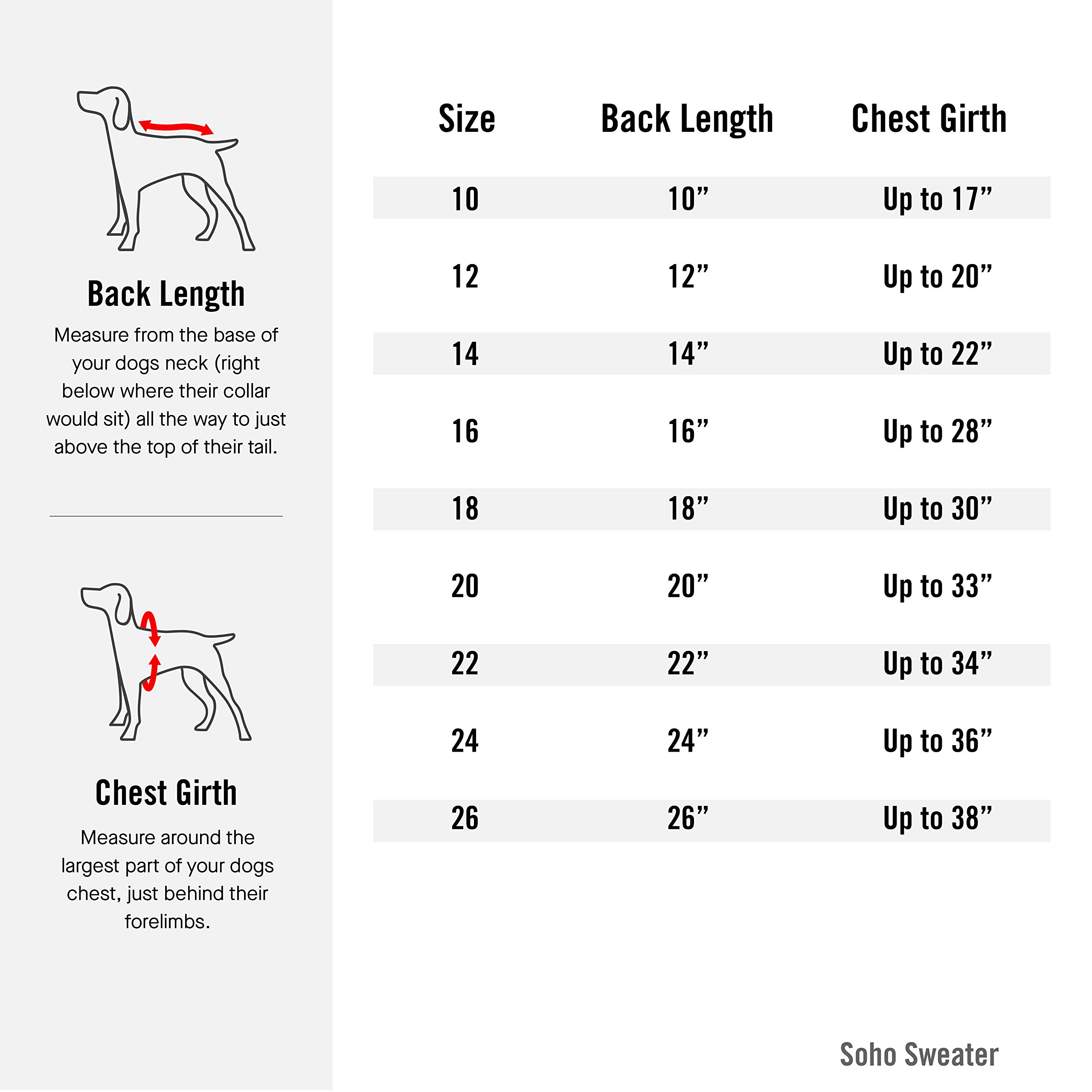 Canada Pooch Soho Dog Sweater Turtleneck Dog Pullover (20, Navy Mix), 20 (19-21" Back Length)