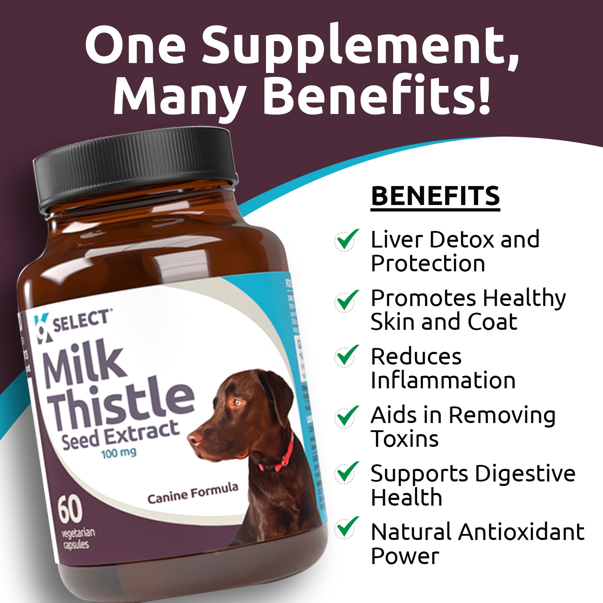 K9 Select Milk Thistle for Dogs, 100mg - 60 Vegetable Capsules - Canine Liver Health Milk Thistle Supplement - Liver Supplement - Liver Support Supplement - Milk Thistle Herbal Supplements