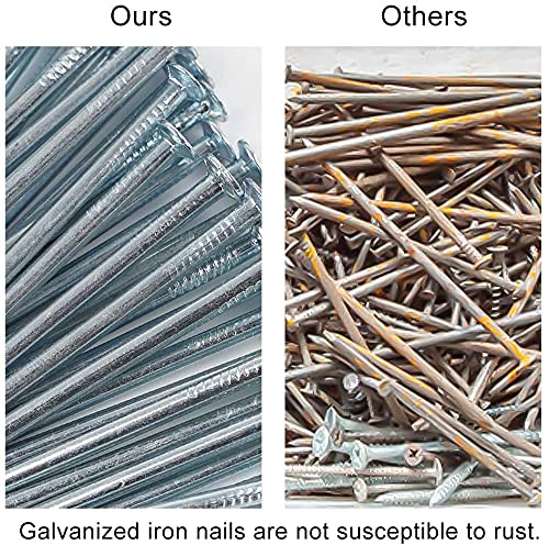 HongWay 1500pcs Hardware Nails Assortment Kit, Galvanized Nails Set, Assorted 12 Sizes Wire and Common Brad Nails Flat Nails Finishing Nails Wall Nails for Pictures Hanging Woodworking