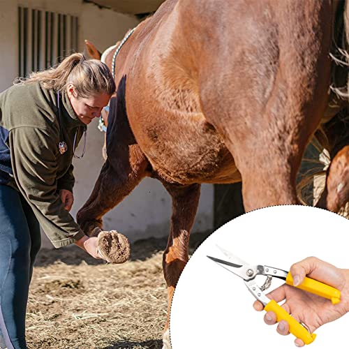 Goat Hoof Trimming Shears - 2 Pack Foot Rot Nail Clippers for Sheep Alpaca Lamb Pig Hooves Multiuse Carbon Steel Shrub Trimmer with Stronger 2 Pcs Spring Load