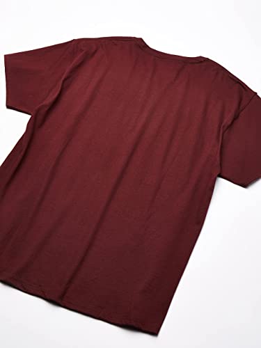Champion mens Classic Jersey Tee Shirt, Maroon, XX-Large US