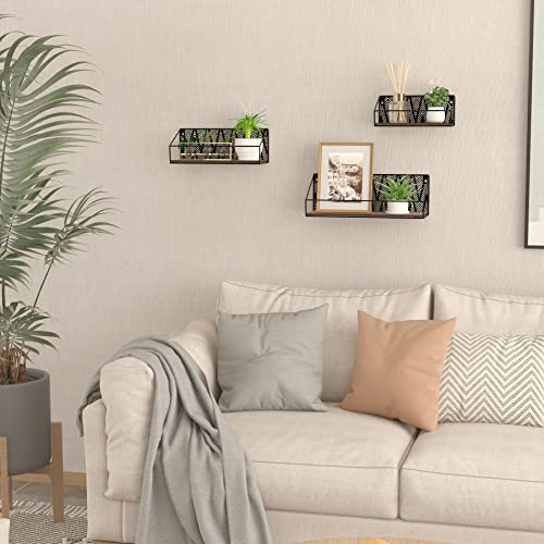 Edenseelake Floating Wall Shelves Set of 3, Cedar Pattern Wall Mounted Shelf for Bedroom, Living Room, Bathroom, Kitchen, Office