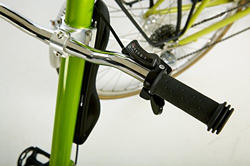 Burley Trailer Bike
