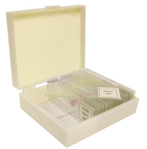 Vision Scientific VSH118 Prepared Slide Set â Meiosis (Set of 7)
