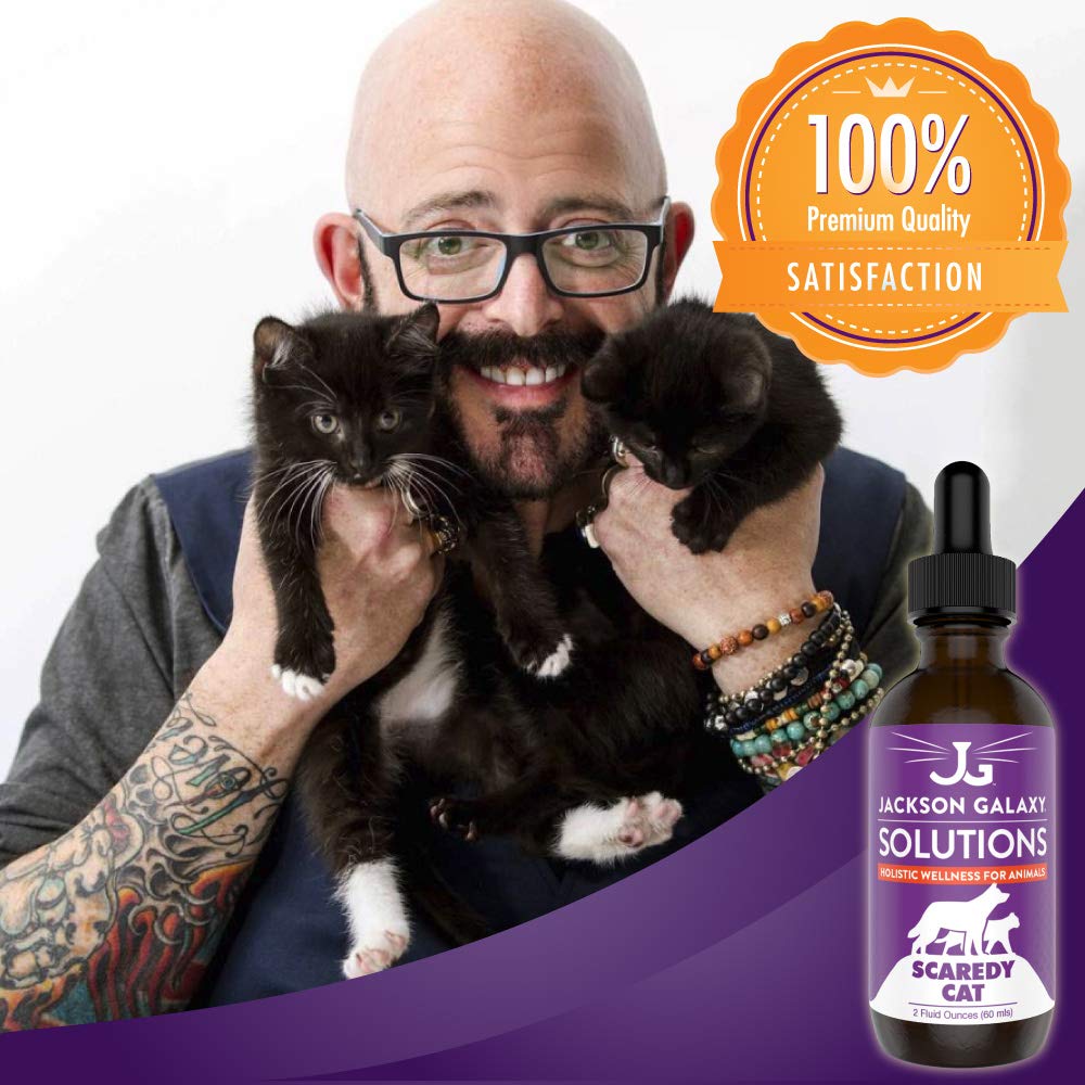 Jackson Galaxy: Scaredy Cat (2 oz.) - Pet Solution - Promotes Sense of Self-Confidence and Reassurance - Perfect for Cats Who Hide and Run from Touch - All-Natural Formula - Reiki Energy