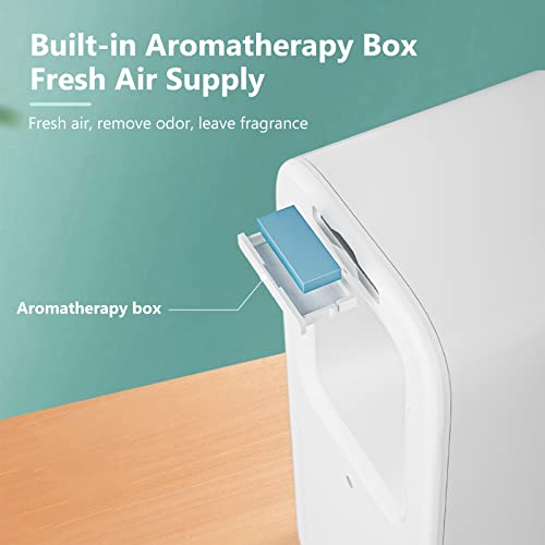 Pazarfami Desk Fan, Portable Bladeless Fan for Bedroom, Office Table, Small USB Personal Fan with Aromatherapy Supply, Breeze Quiet Fan with Touch Control 3 Gear Gentle Wind(Green or White)