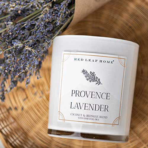 Red Leaf Home Provence Lavender Candle - Naturals Collection, Large - 15.5 Ounce Jar