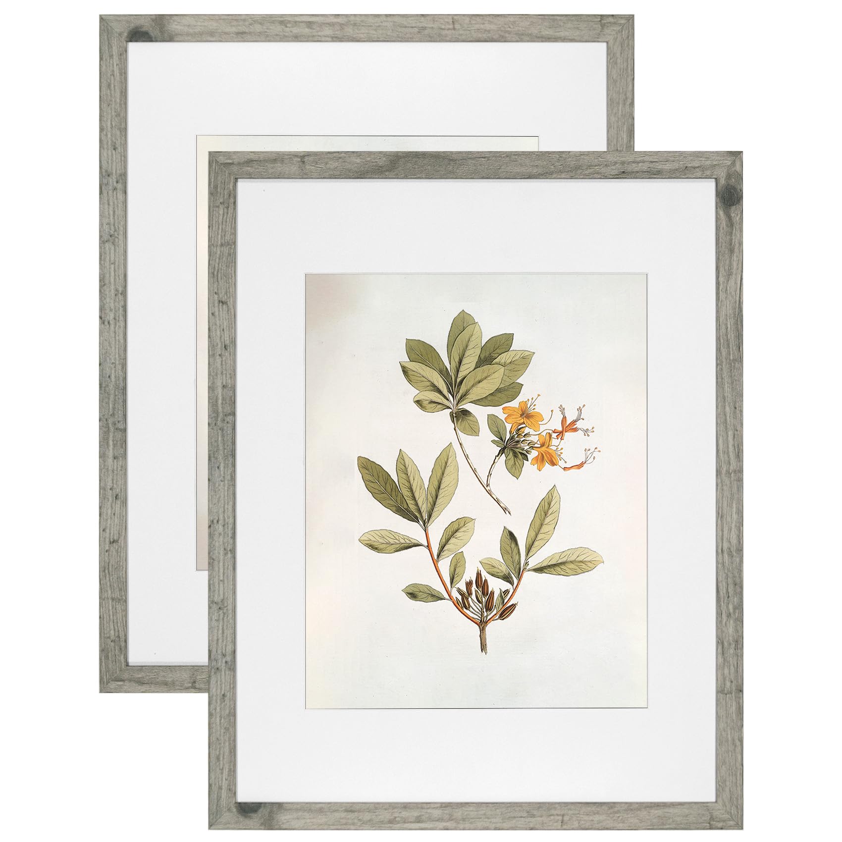 Califortree Gray 11x14 Picture Frame - Can Display Photo 8x10 with Mat, Engineered Wood Frame with Shatterproof Plexiglass, Horizontal and Vertical Display for Wall, Set of 2