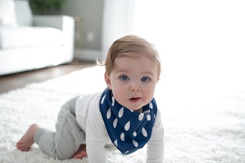 Dr. Brown’s Bandana Bib with Snap-On Removable Teether, Cotton Baby Bib with Soft Fleece Lining for Teething & Drooling, 3m+, 2-Pack, Dinosaur & Blue Drops