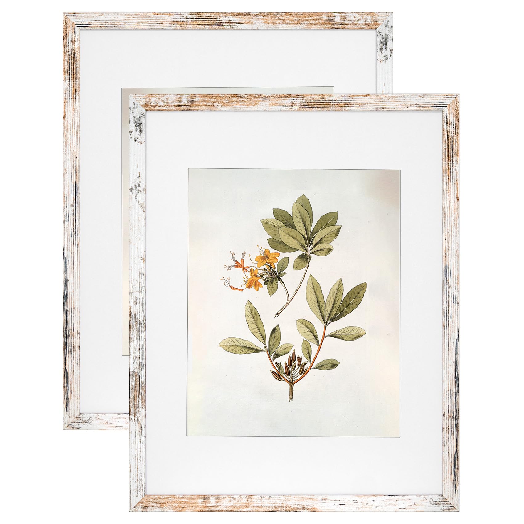 Califortree Rustic White 11x14 Picture Frame - Can Display Photo 8x10 with Mat, Engineered Wood Frame with Shatterproof Plexiglass, Horizontal and Vertical Display for Wall, Set of 2
