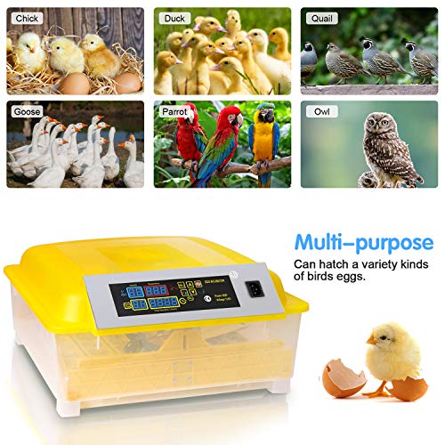 Egg Incubator 48 Eggs Fully Automatic Digital Poultry Incubator with Fahrenheit Temperature and Auto Turning for Hatching Chicken Duck Goose Quail Bird, Egg Hatcher Breeder Incubator Gift Set for Kids
