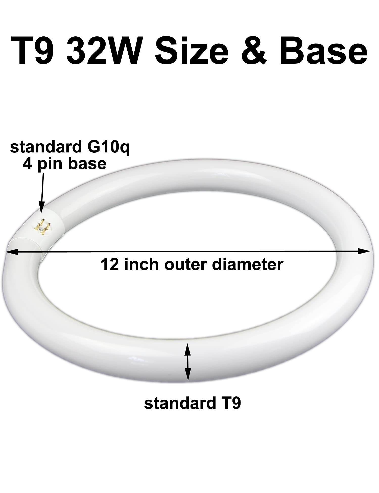 CHKADAWA FC12T9/CW Circline Fluorescent Light Bulb, 12 Inch T9 32W Circular Ceiling Fixture Round Bulb, 4100K Cool White 1900 Lumens, G10q 4 Pin Base, 2 Pack