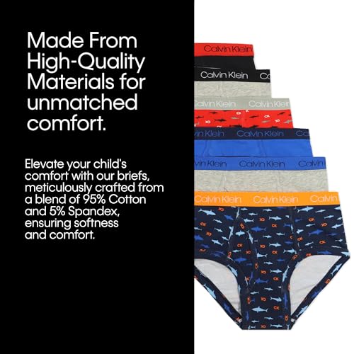 Calvin Klein Boys' Little Modern Cotton Assorted Briefs Underwear, 3 Pack, Blue/Marl/Samb, Large