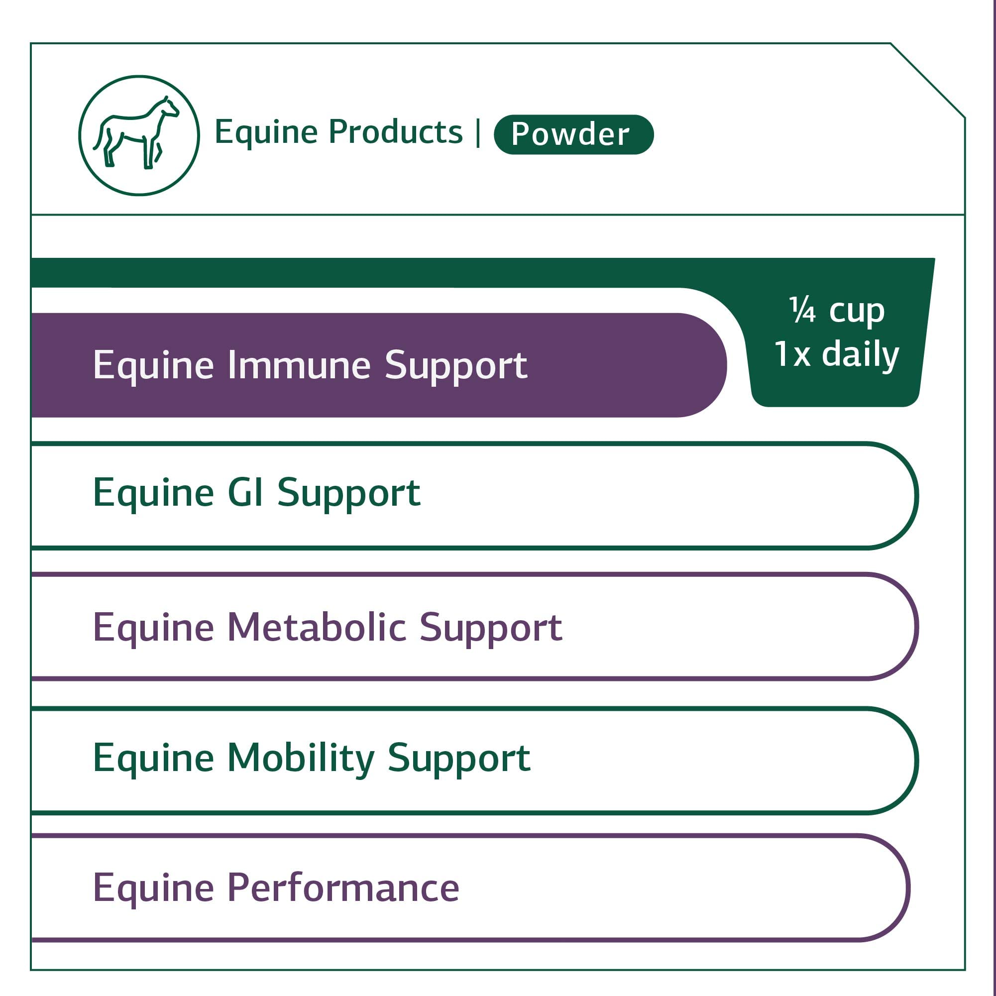 Standard Process Equine Immune Support - Whole Food Horse Supplies for Immune Support with Whey Protein, Magnesium Citrate, Kale, Sunflower Lecithin, L-Glutamine, Turmeric Root - 30 Ounce
