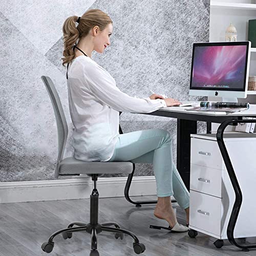 FFBag Home Office Chair Ergonomic Office Chairs Desk Chair Mid Back Support Armless Adjustable Modern Executive Rolling Swivel Computer Chair (Grey)