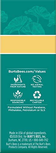 Burt's Bees Natural Acne Solutions Targeted and Minimizing Spot Treatment for Oily Skin, 0.26 Oz (Package May Vary)