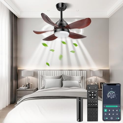 CAIROCK Ceiling Fans with Lights Remote and App Control, 27¡± Modern Ceiling Fan for Living Room Bedroom Kitchen Dining Room, Adjustable Color Temperature, Black…