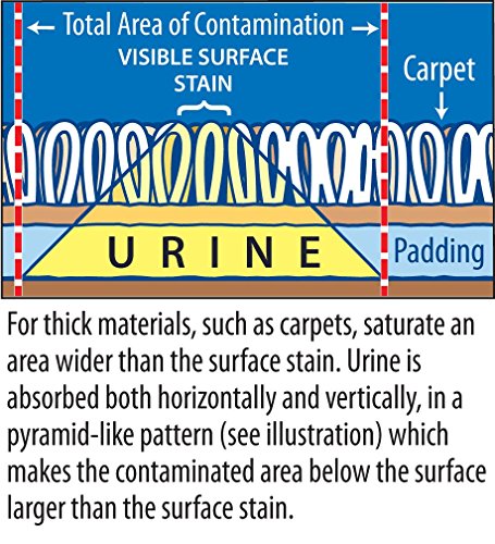 Stink Free Instantly Urine Odor Remover & Eliminator for Cat Urine, Oxidizer Based Urine Cleaner for Carpets, Rugs, Mattress, etc. 128 Oz (1 Gallon)