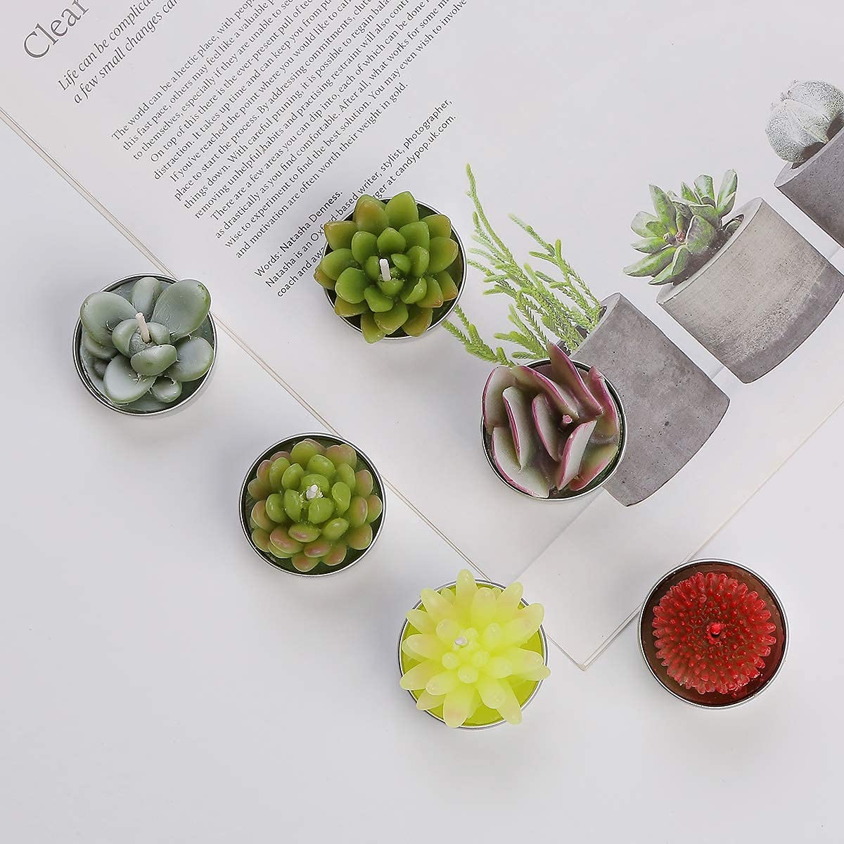 LJQizn 6pcs Cactus Tealight Candles Handmade Delicate Succulent Cactus Candles Tea Lights Perfect for Birthday Party Wedding Spa Home Decor Gifts (6pcs Cactus Candles)