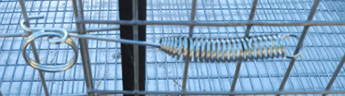 RNL RabbitNippLes Spring Latches for Rabbit Cage Doors 4 inch Springs (10 Pack) 10SL4