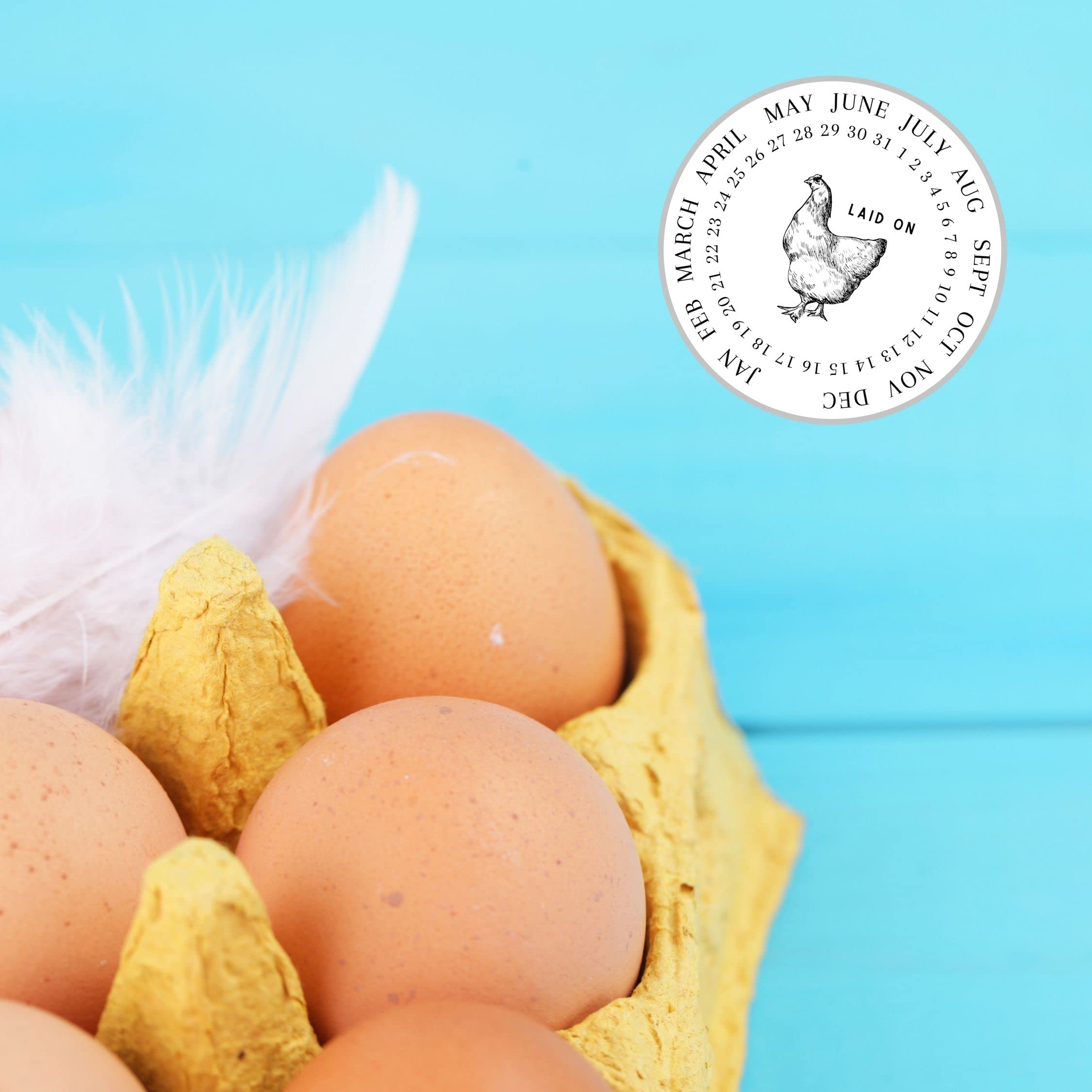 Laid On Date Stickers | 50 Pack | 2" Round Stickers | Farm Fresh Stickers, Egg Carton Stickers, Date Stickers for Fresh Eggs | White and Black with Chicken Design