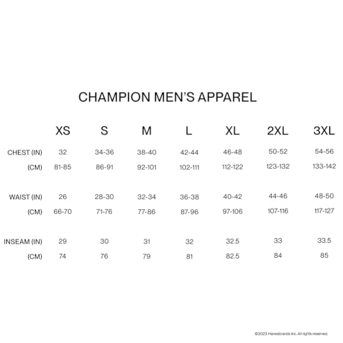 Champion T-Shirt, Sleeveless, Tank, Classic Muscle Tee Top for Men (Reg Tall), Oxford Gray Script, 4X-Large Big