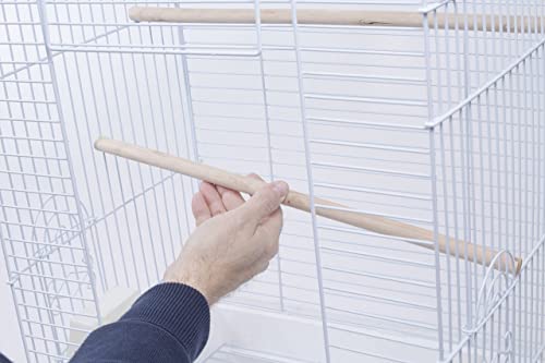 PENN-PLAX Cockatiel & Small Parrot Starter Kit with Birdcage, Cover, and Accessories β Great for Cockatiels, Conures, and Small Parrots β Square Dome β White