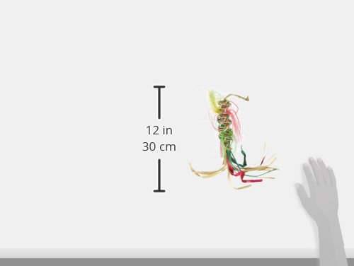 Penn-Plax Natural Pacifier Kabob for Birds