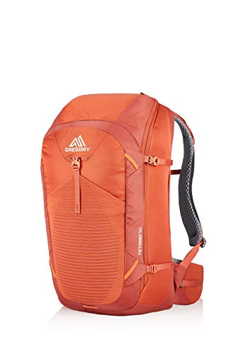 Gregory Men's Backpack, Orange (Ferrous Orange), One Size