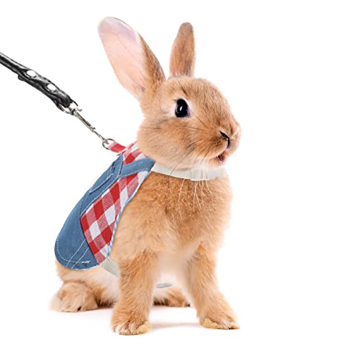 Rabbit Harness and Leash Bunny Stuff Rabbit Walking Harness Bunny Leash and Harness Small Bunny Essentials Bunny Rabbit Harness with Leash for Kitten Puppy Small Pets Walking (Red, Medium)