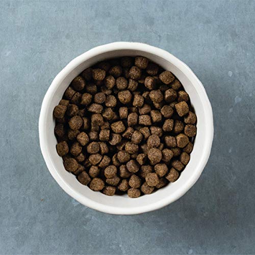 Evolve Pet Food Classics Deboned Beef, Barley and Bison Recipe Dog Food, 3.5-pounds