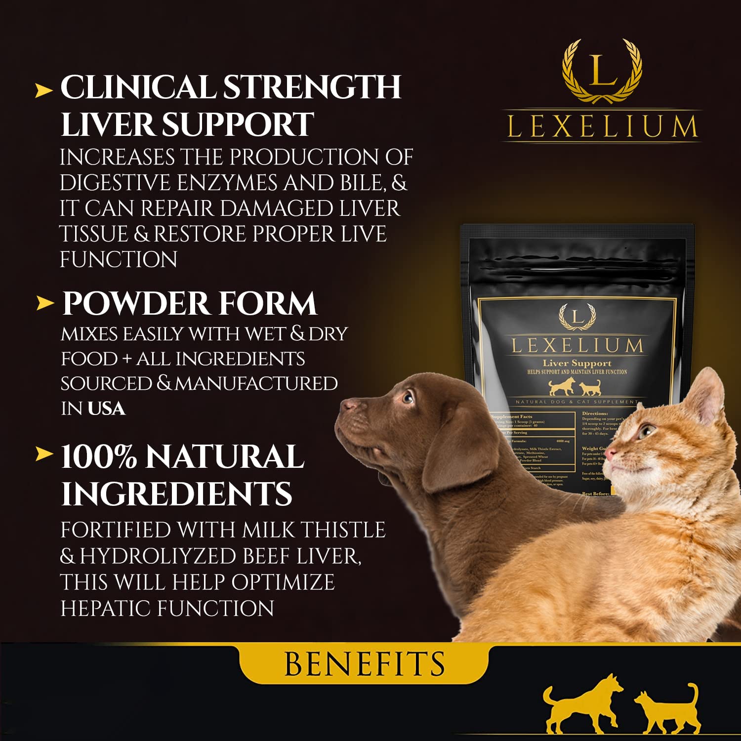 Lexelium Liver Support Supplement for Dogs and Cats - Great for Detoxing and Helps Kidney, Liver & Skin Function - Cat Liver Support - Milk Thistle + Lysine + Choline Bitartrate + Methionine β 200g