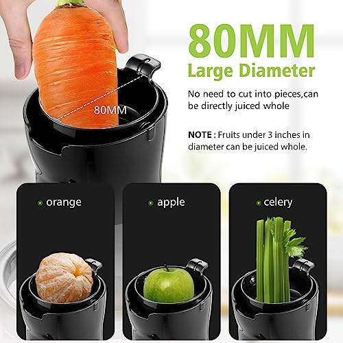 Slow Masticating Juicer, AAOBOSI 80MM Large Feed Chute Cold Press Juicer Machine w/ 2 Filler Openings, Reverse Function & Quiet Motor for High Nutrient Fruits Vegetables (Gray)