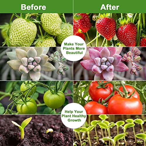 Grow Light for Indoor Plants, SUWITU 6000k Full Spectrum Plant Light, Clip-on Led Grow Lights, Plant Grow Light for Succulents Small Plants, Auto On/Off Timing, 1 Head 3 Lighting Modes & 10 Dimming