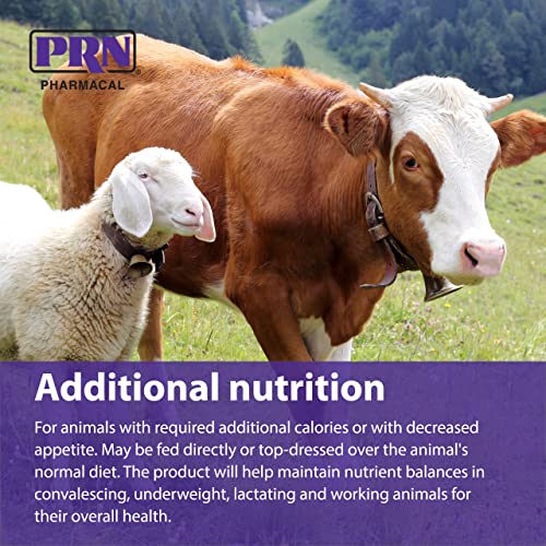 PRN Pharmacal STAT - High Calorie Nutritional Supplement to Help Restore Hydration & Nutrition Levels in Animals - Vanilla Flavored Dietary Support with Vitamin A, D3, C, E, & More - 16 Fl Oz