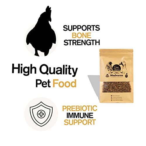 Fowl Treats Naturally Fortified Mealworms - Protein Rich Supplements Suitable for Hens and Ducks, Contains USA Grown Ingredients β Helps with Bone Strength, Feathers & Molt β 8oz