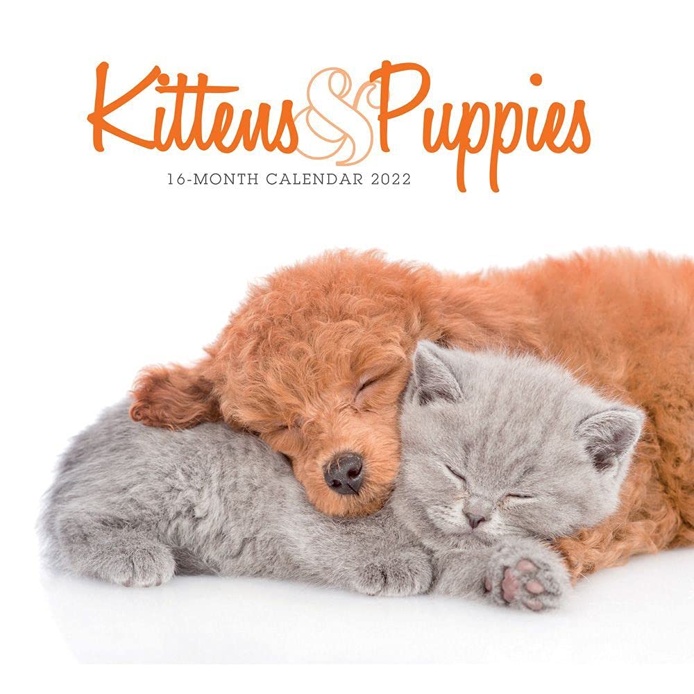 Carousel Calendars, Kittens & Puppies 2022 Mini Wall Calendar