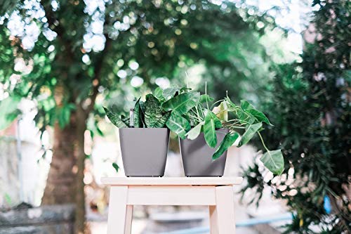 GARDENIX DECOR 5" Self Watering pots for Indoor Plants - Flower Pot with Water Level Indicator for Plants, Grow Tracking Tool - Self Watering Planter Plant Pot β 2 Pack Gray