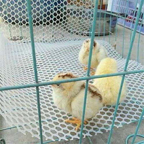 MAGFYLY Chicken Wire Mesh Plastic Fence Net, Breeding Net, Child Safety Netting Lawn Protection Net Flowerpot Mat Net Non-Slip Net Ventilation Net Cat Net 10m 30m 50m, White